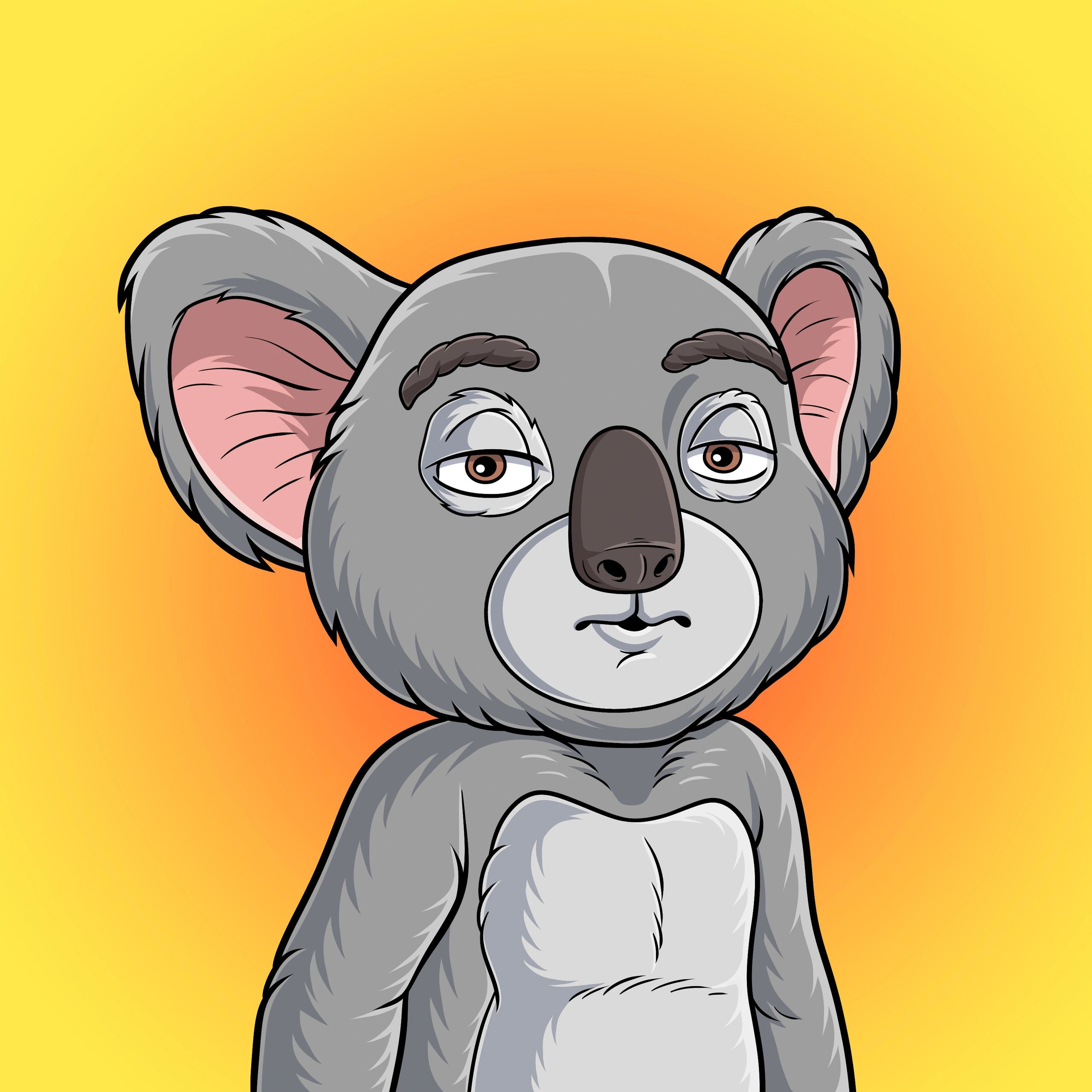 touringkoala.co.uk